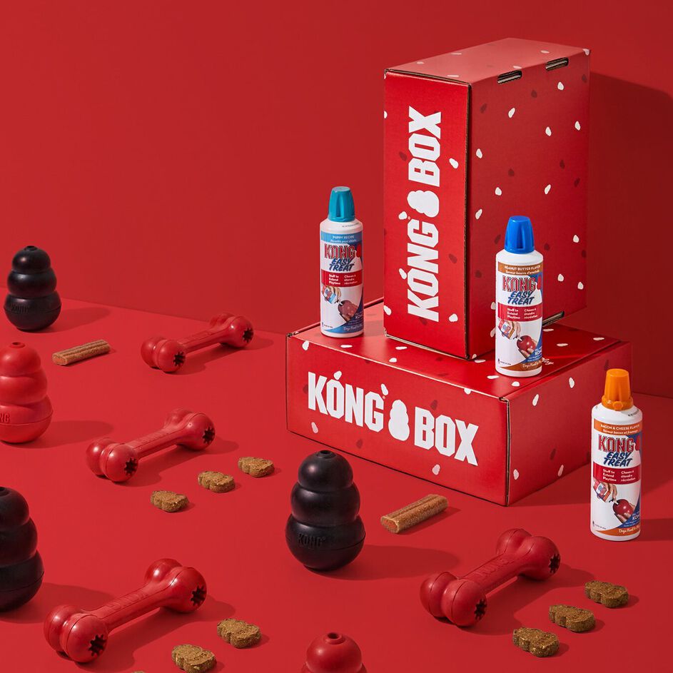 KONG - Packlane
