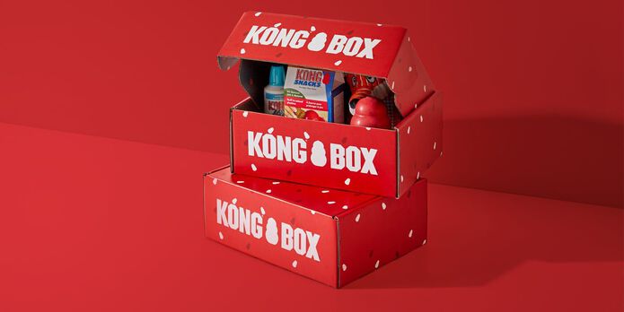 KONG - Packlane